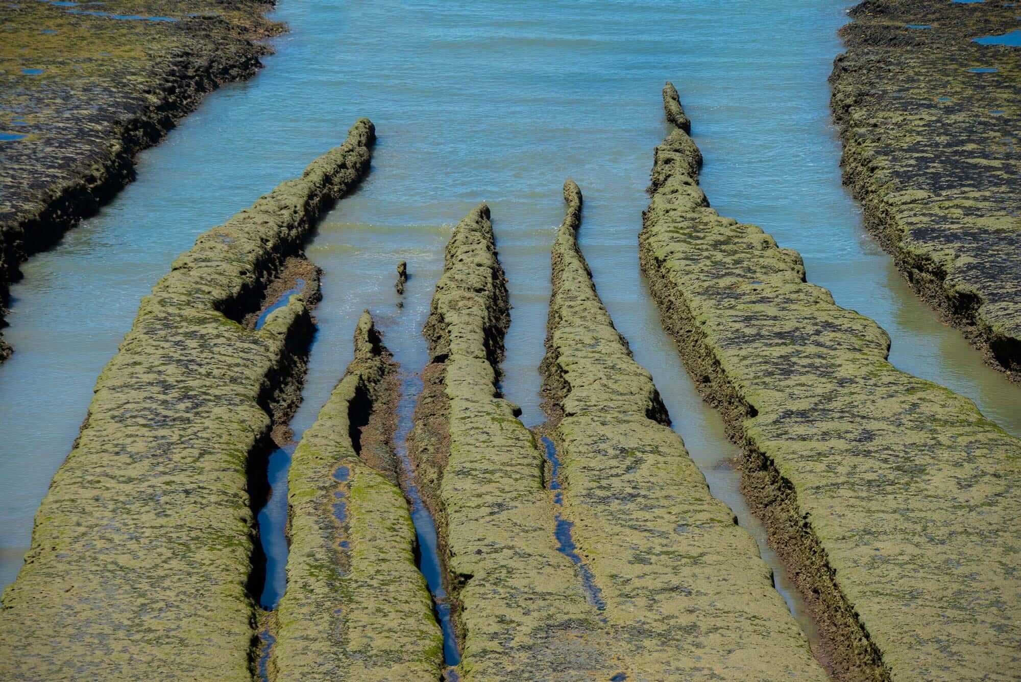 Entorno Inmediato | Guía del ocio