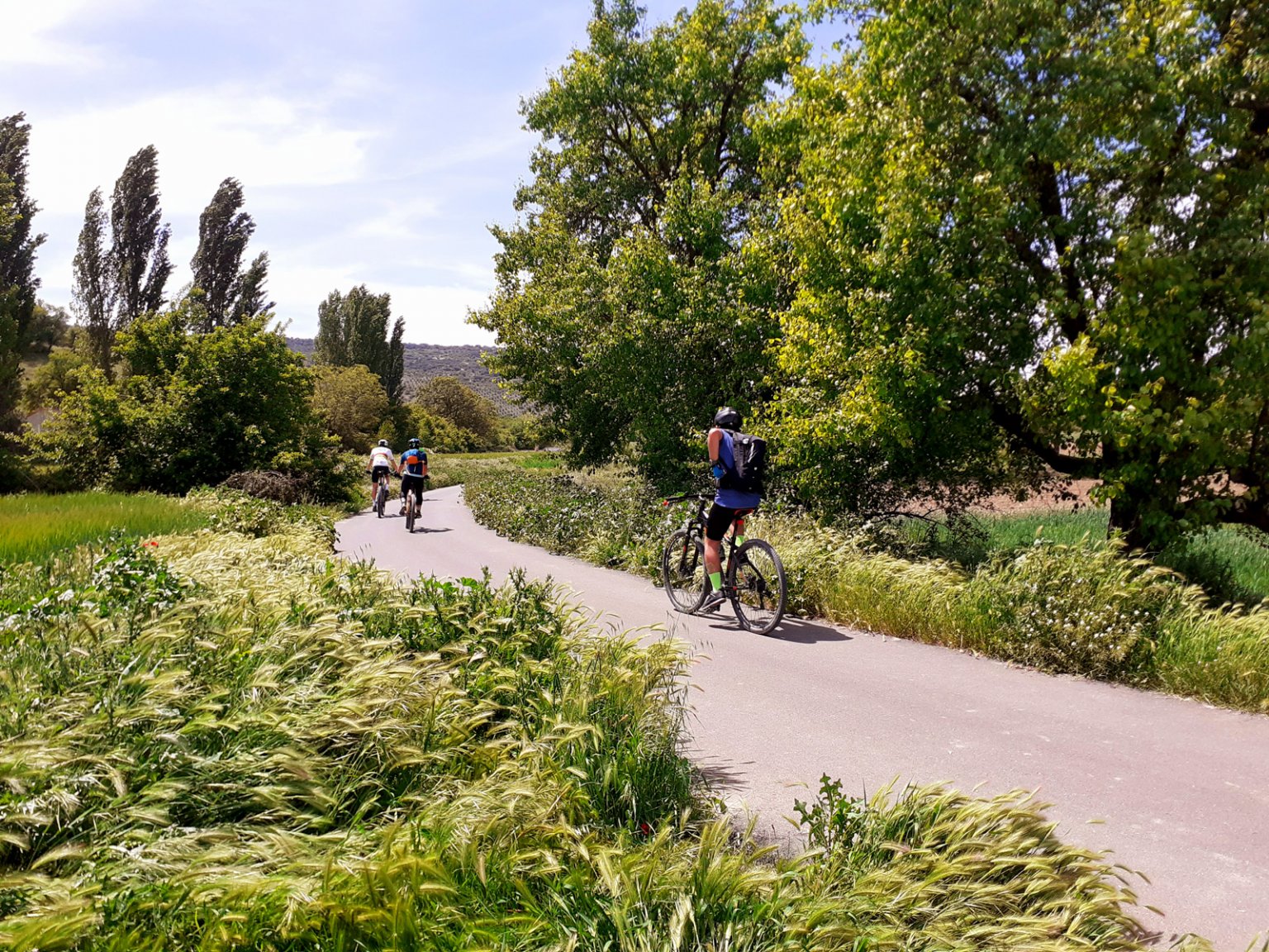 Las vías verdes que no puedes perderte este verano | Madrid | Guía del ocio